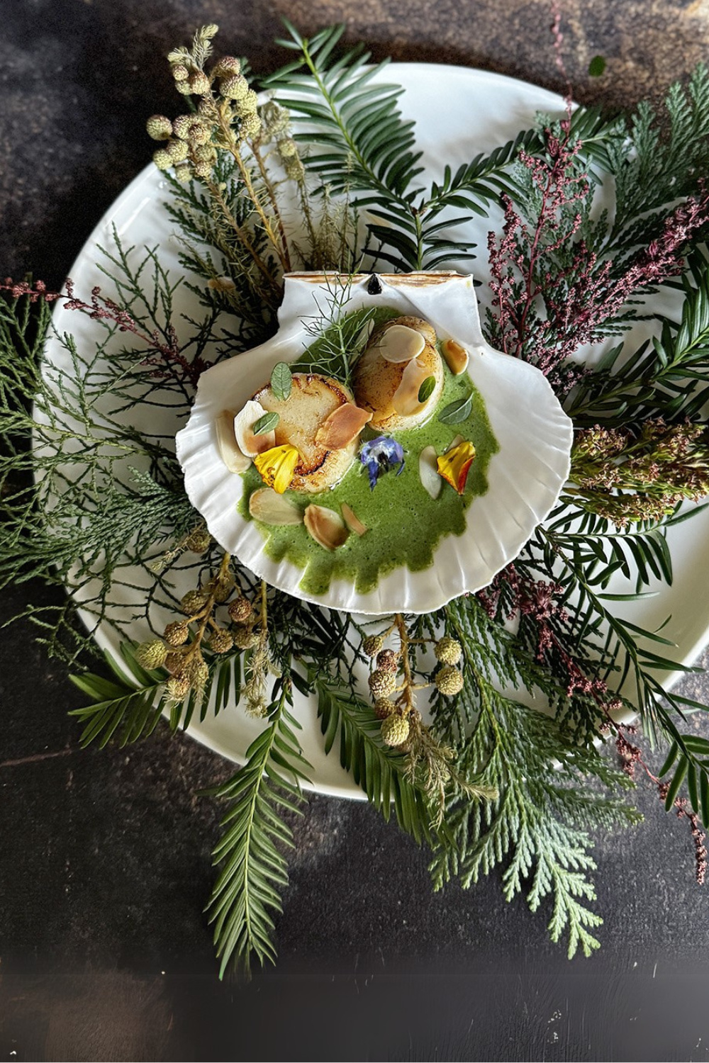 Coquilles in een romige groene saus